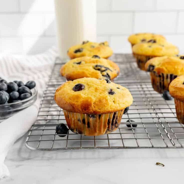 Blueberry Muffins With Cake Mix - Barefoot In The Pines